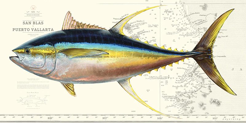 Frozen Yellowfin Tuna Archives - DragonOr Seafood