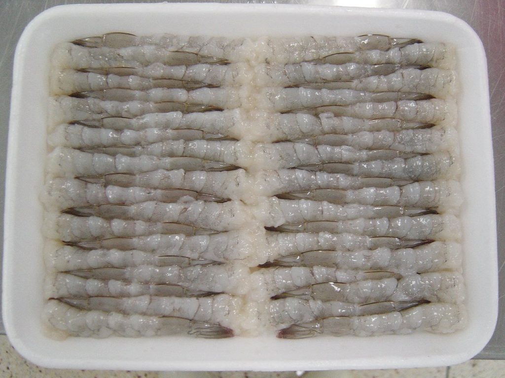 Fresh shrimp - DragonOr Seafood
